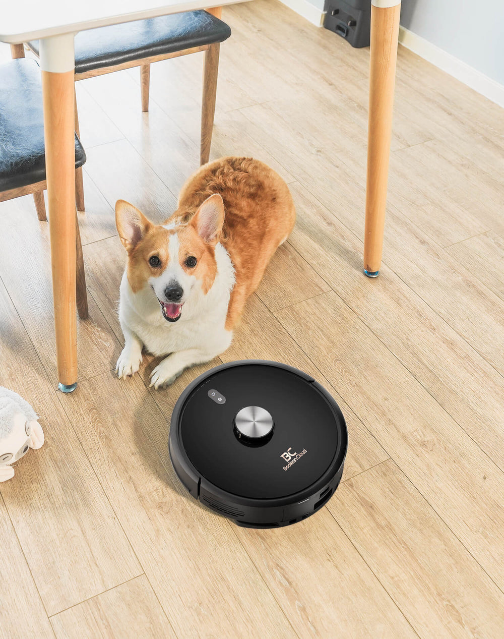 Boolean Cloud Official Store | AI Robot Vacuum Cleaner